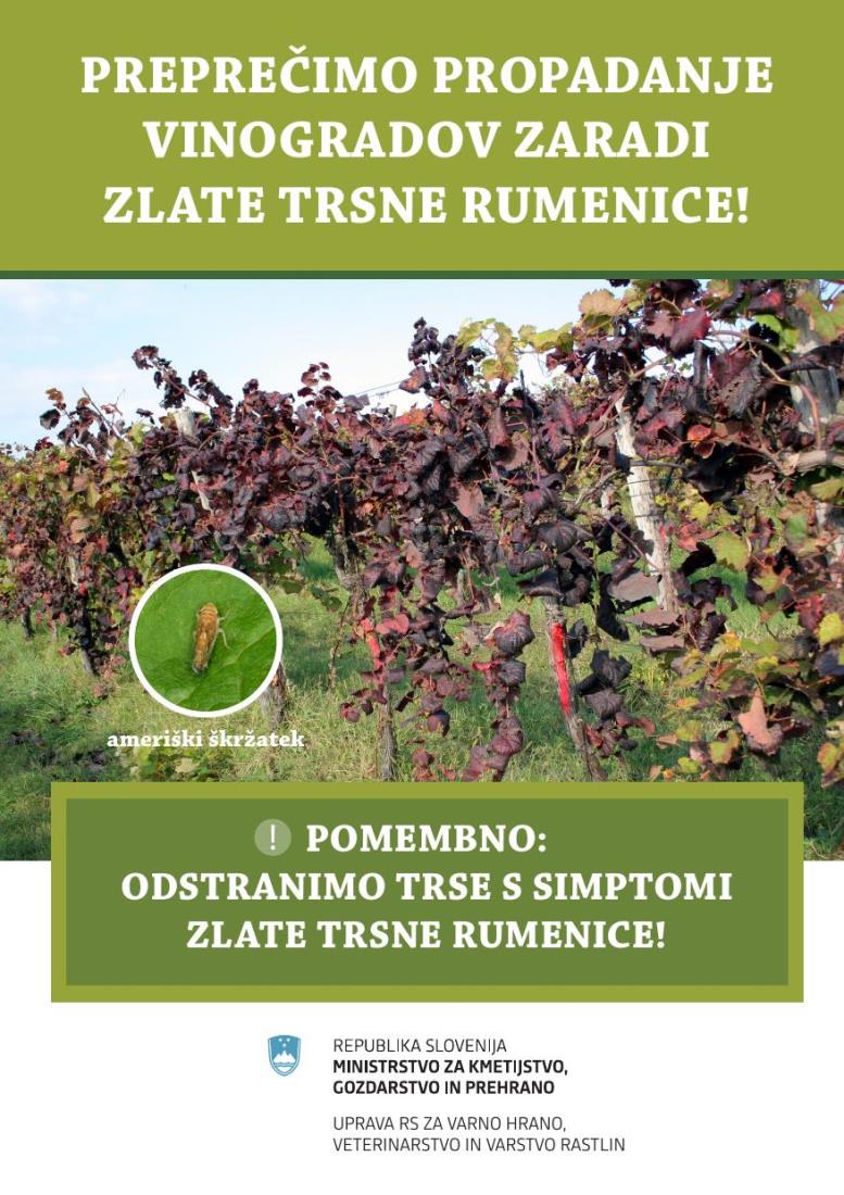 Sprejeta Uredba o ukrepih za zatiranje in preprečevanje širjenja zlate ...